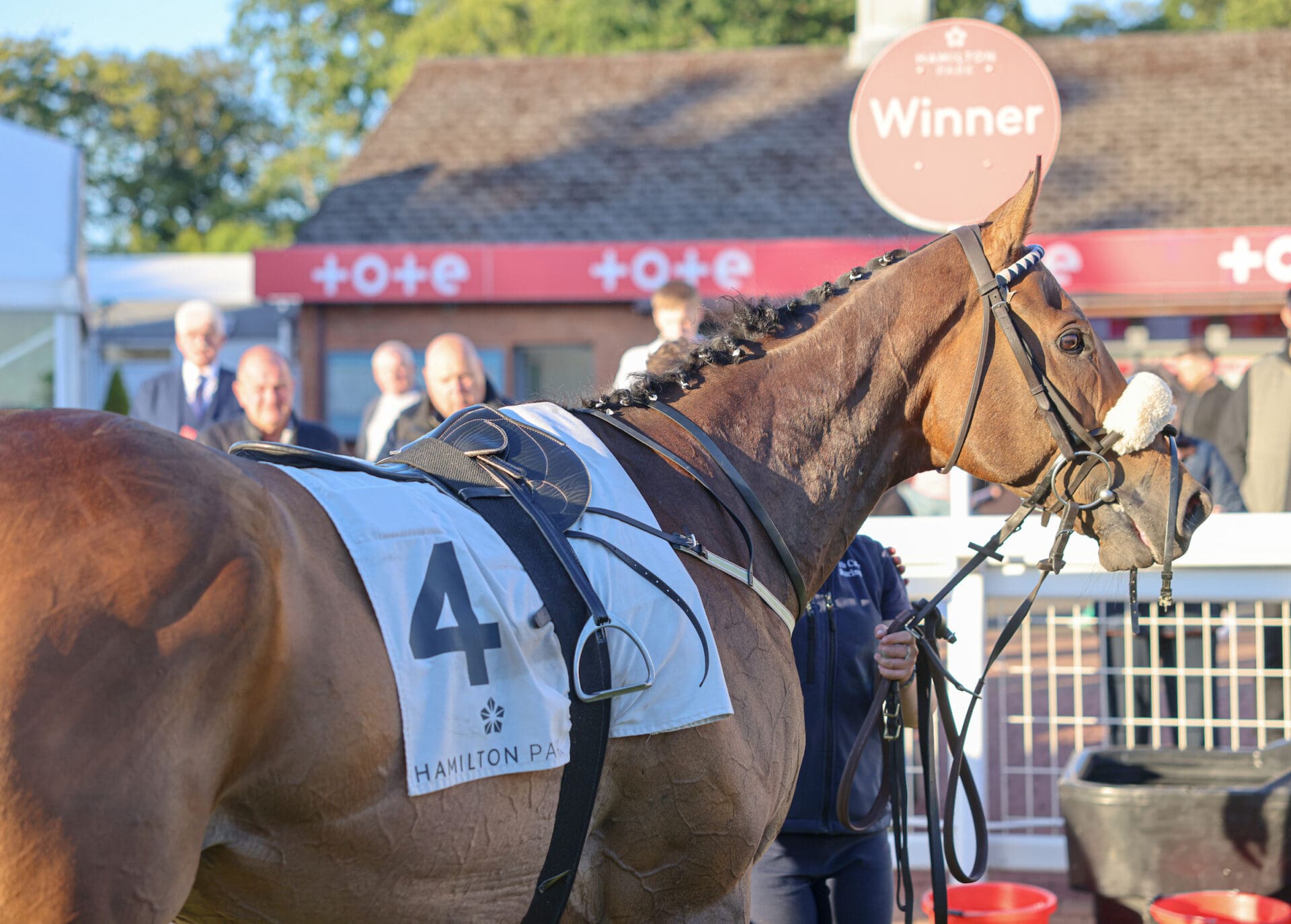 WINNER! Newyorkstateofmind at Hamilton - 12th June 2024 - Ruth Carr Racing